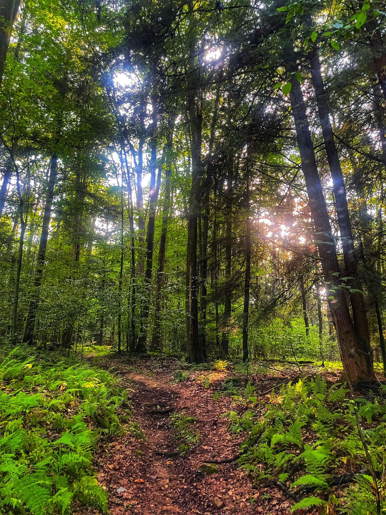 Beauty captured | News, Sports, Jobs - Times Observer